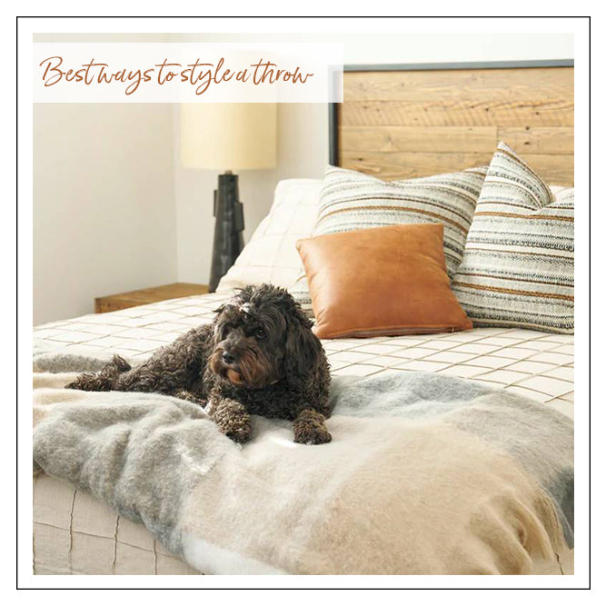 Best Ways On How to Style a Throw | 1825 Interiors