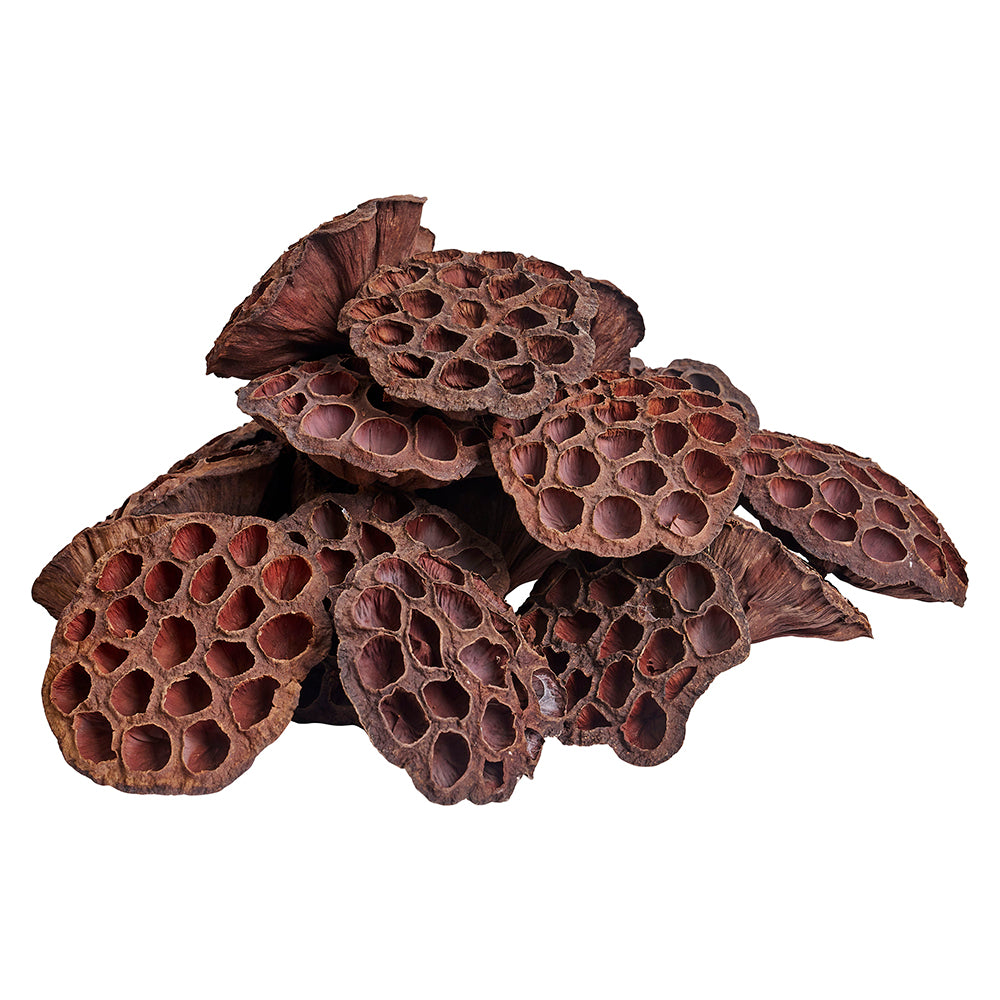 Lotus Pod Pack (20 Pieces) | 1825 Interiors