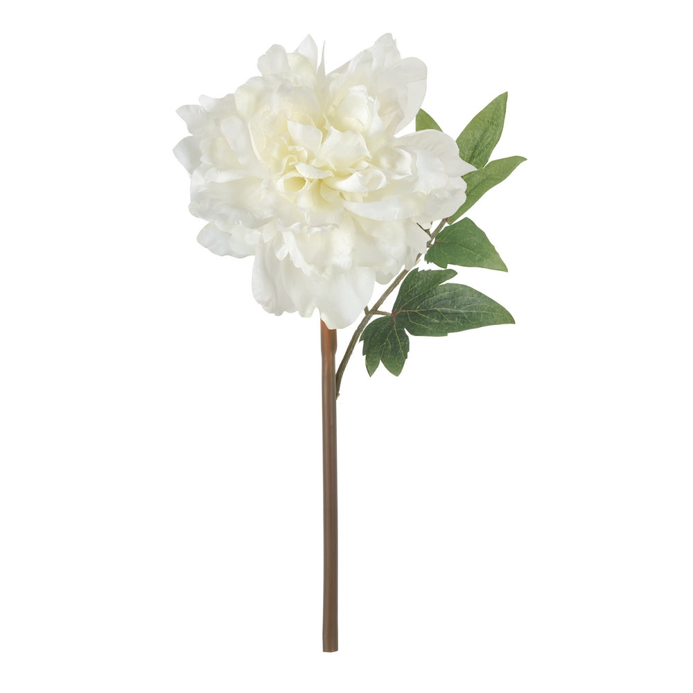 Artificial Peony Stem | Afterpay | Zip | 1825 Interiors